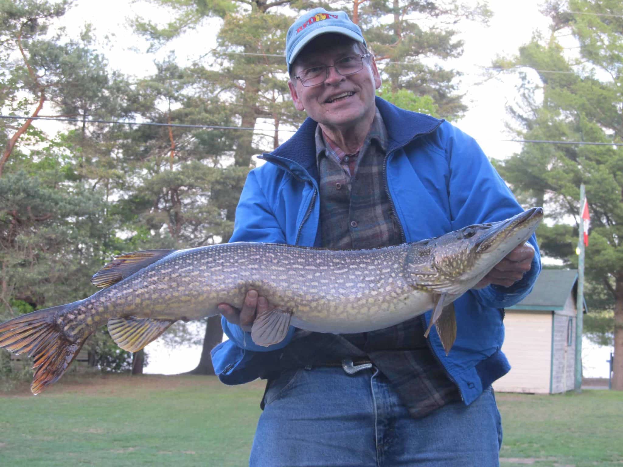 Things To Do – The Loon's Call